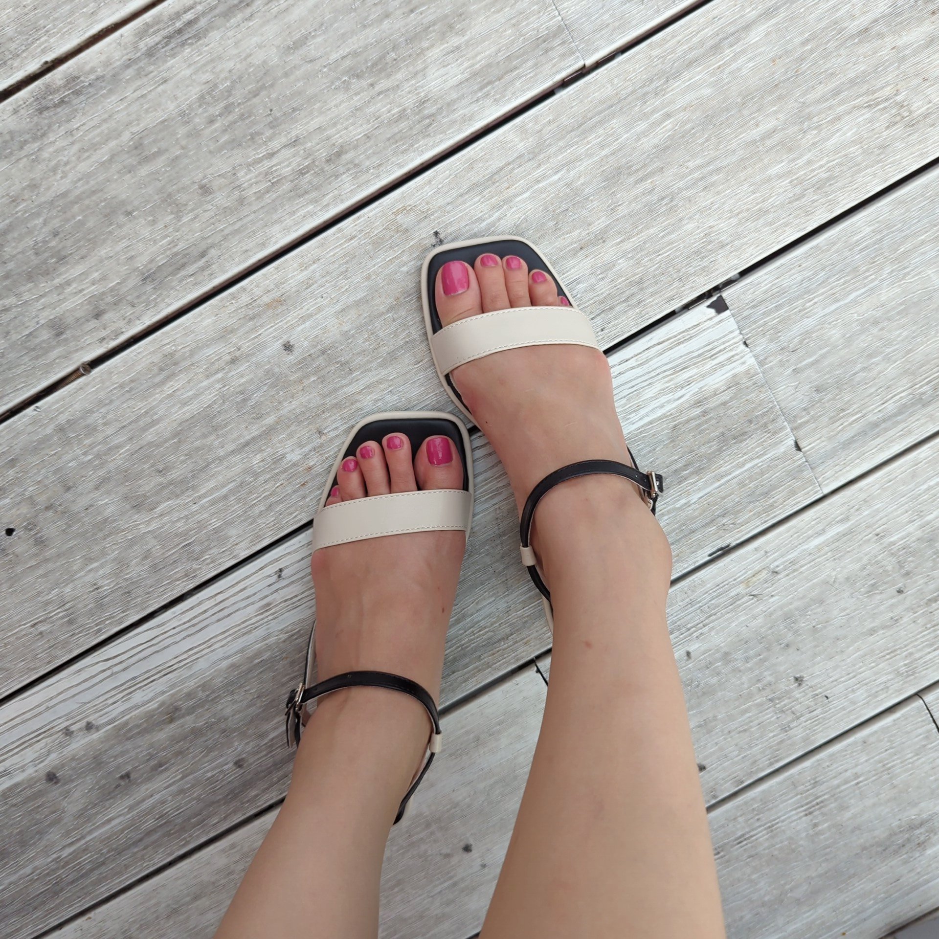 Sama Tsai on Twitter: "屋頂好熱🥹 https://t.co/4x0qPN3w1V" / Twitter