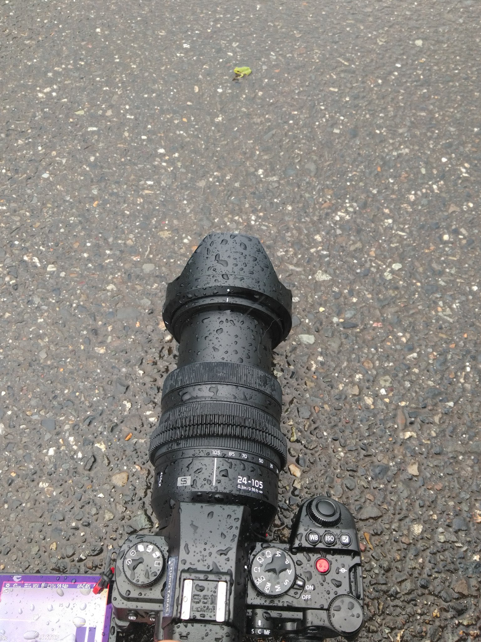 STUDIO_TARAS on Twitter: "カエル認識AF実証実験ちぅ😋 https://t.co/8ksyNPvA2o" / Twitter