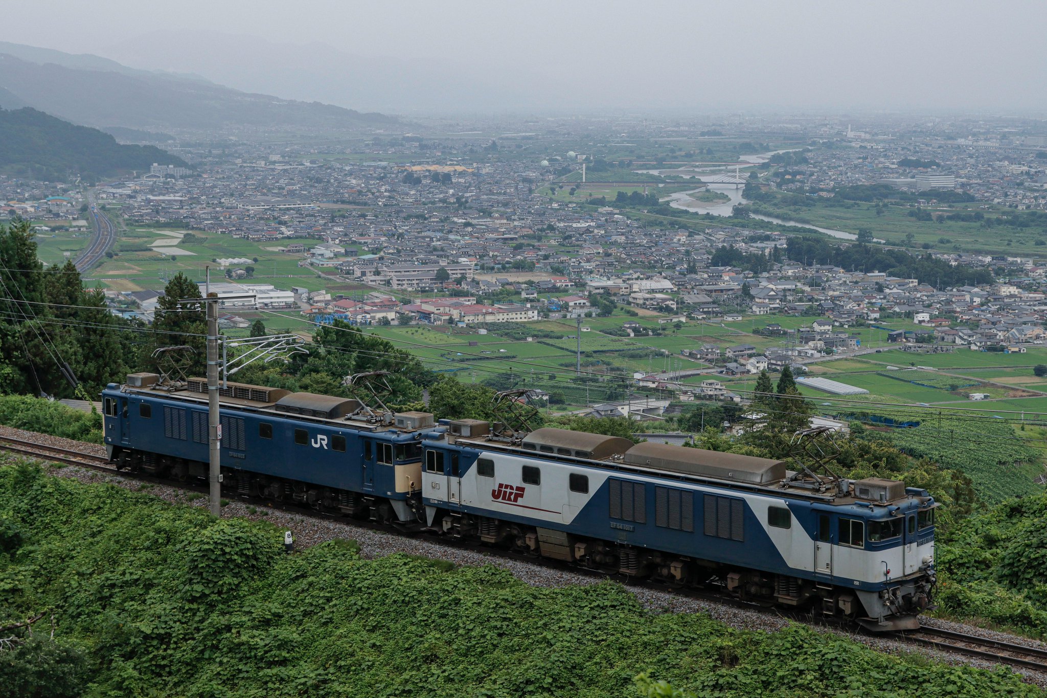吾猫は輩である on Twitter: "2023.7.8 8087レ EF64-1033+EF64-1017 街全体が薄っすらと霧に包まれる静かな朝でした。 https://t.co ...