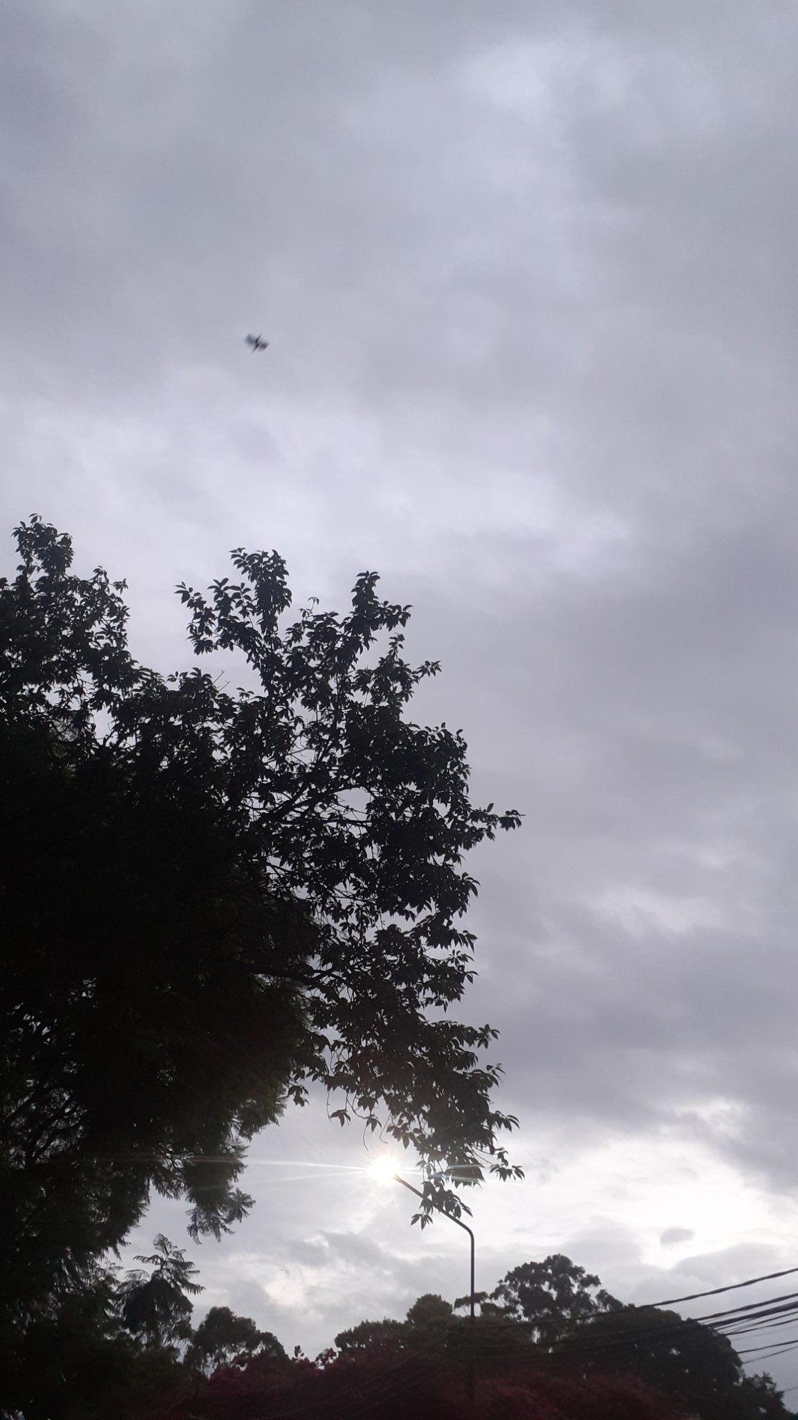 rubika. on Twitter: "date with @jo_sukai_hos 🥳🥳 https://t.co/pDuNG0KxQb" / Twitter