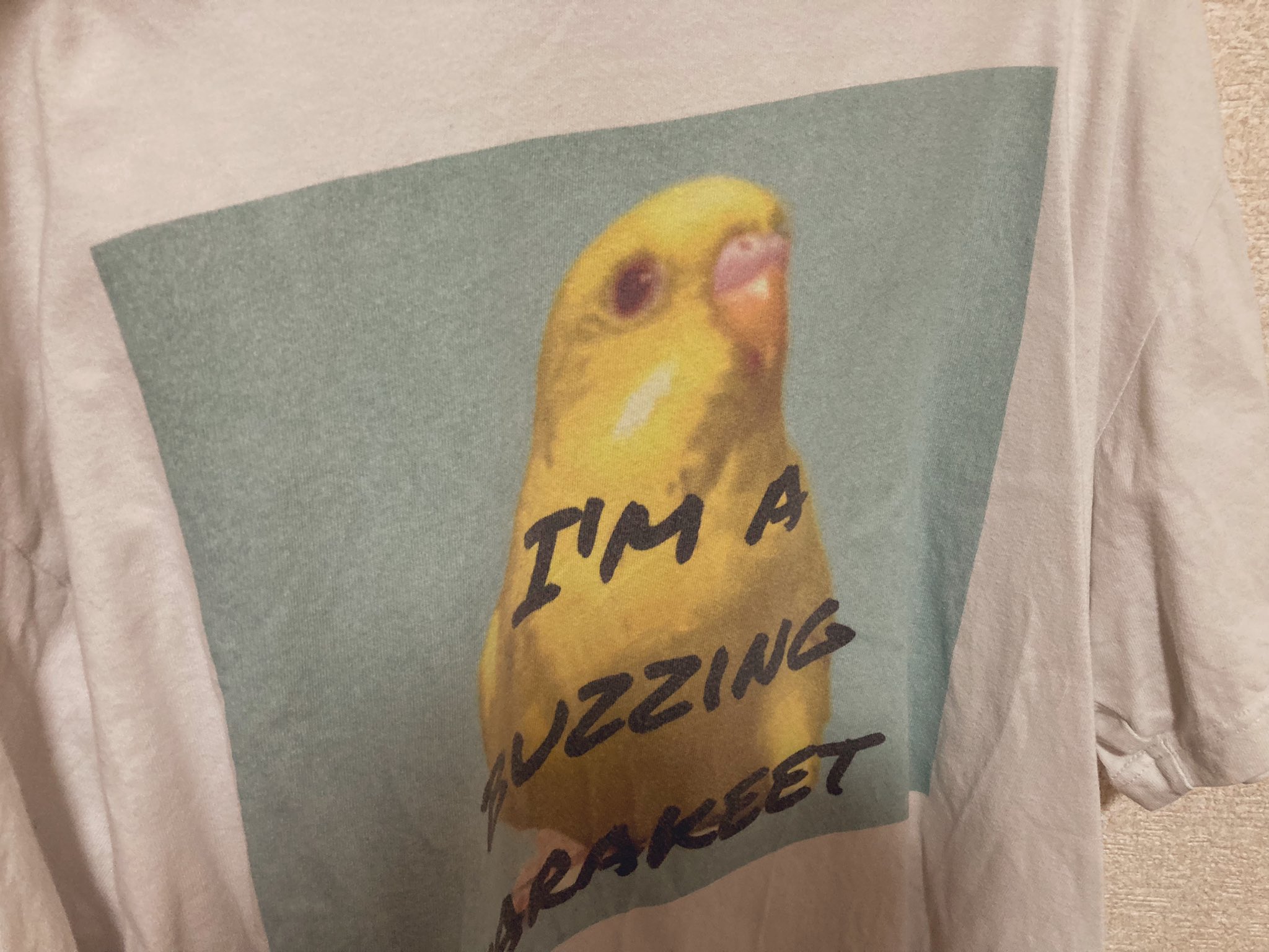 mee on Twitter: "去年バズった記念に作ったピーコちゃんTシャツ良い感じにくたくたになってきた🐥 https://t.co/EfvZJDtQZg" / Twitter