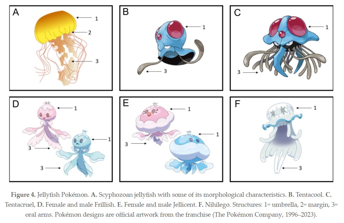 Tentacruel Evolution Chart