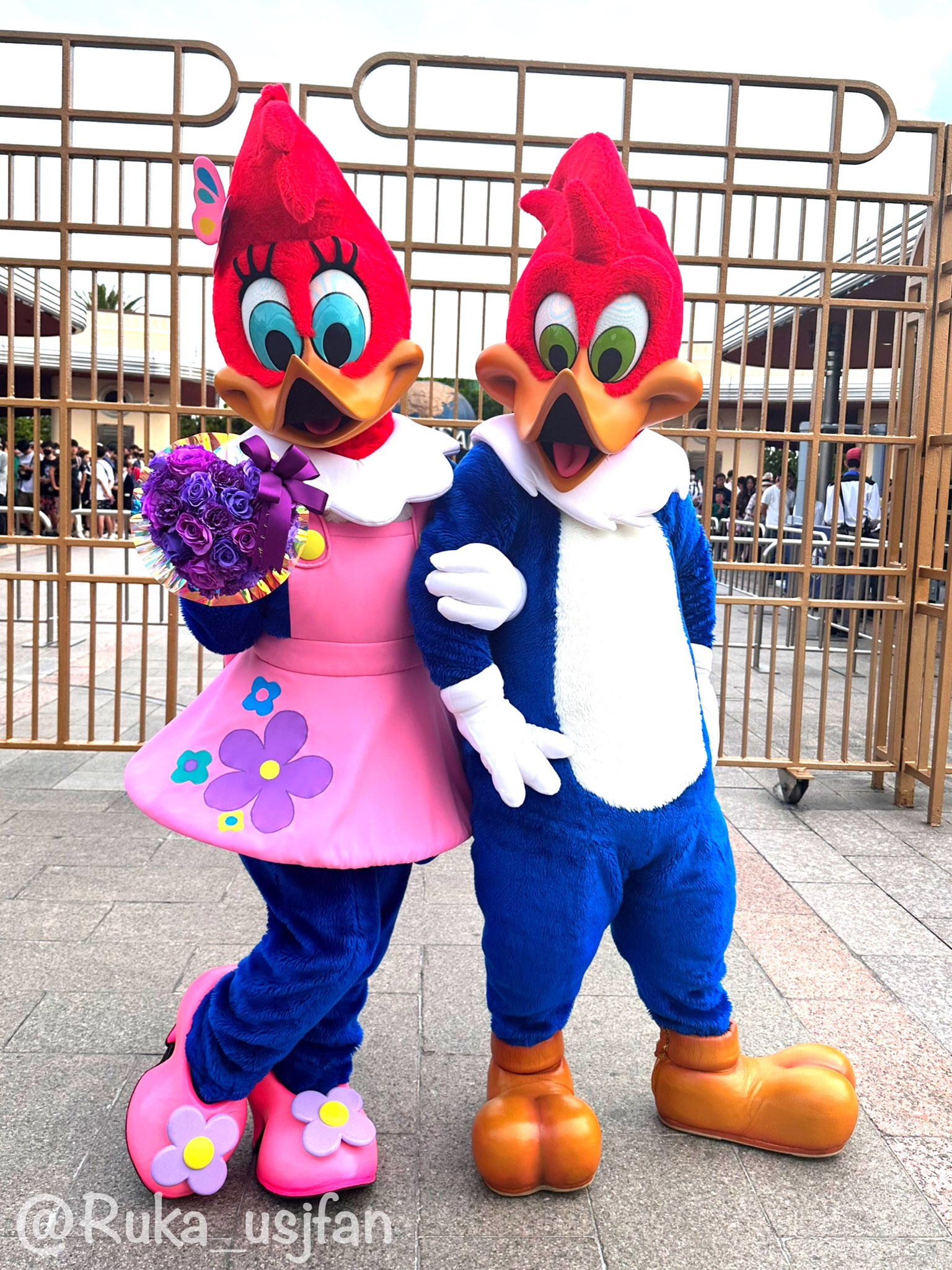 Ruka on Twitter: "腕組み、かわいい ️ #NOLIMITパレード #USJファン #USJ #NOLIMIT #超元気特区 #ウッディウッドペッカー https://t.co ...