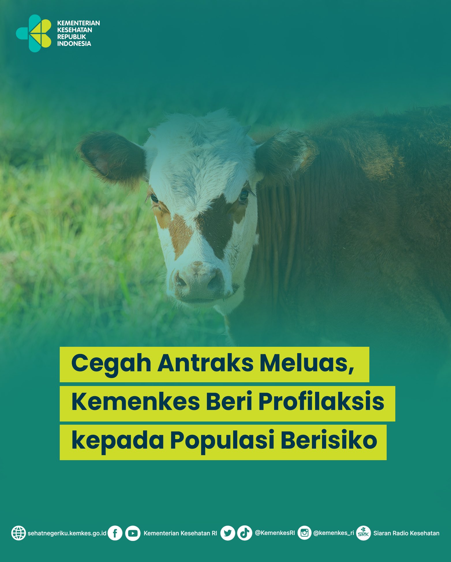 Kementerian Kesehatan RI on Twitter: "Hi #Healthies Antraks kembali merebak di Kabupaten Gunung ...