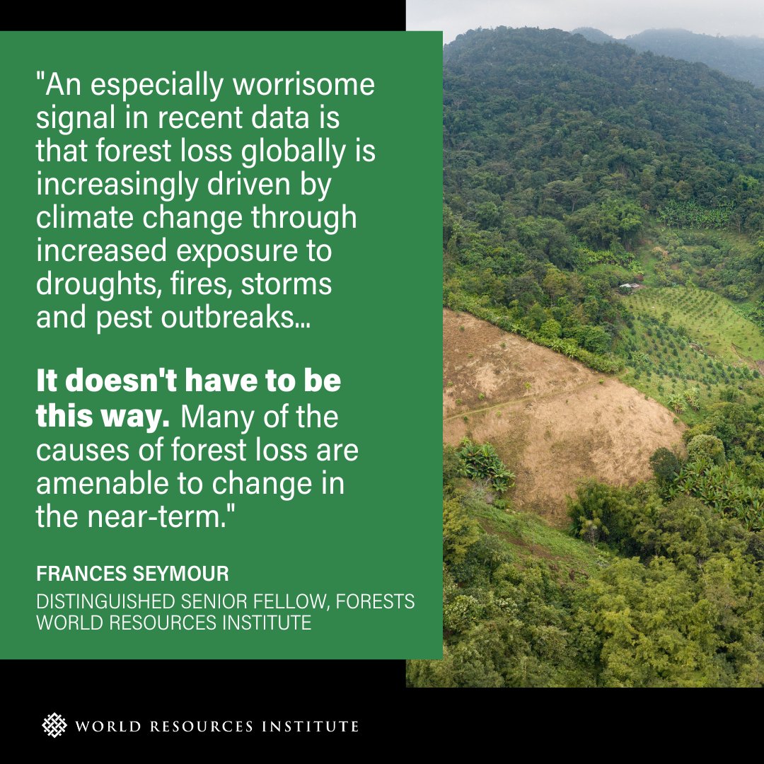 Global Forest Watch on Twitter: "Ending deforestation by 2030 will ...