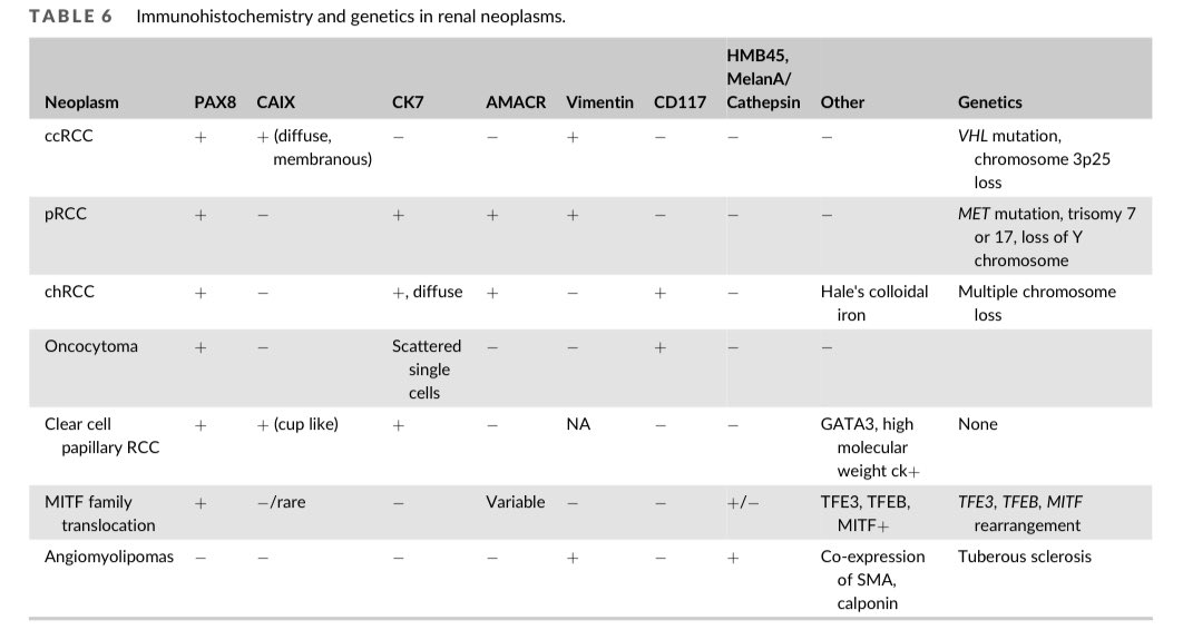 Diagnostic Cytopath On X: Detection Of Transformation Zone, 40% OFF