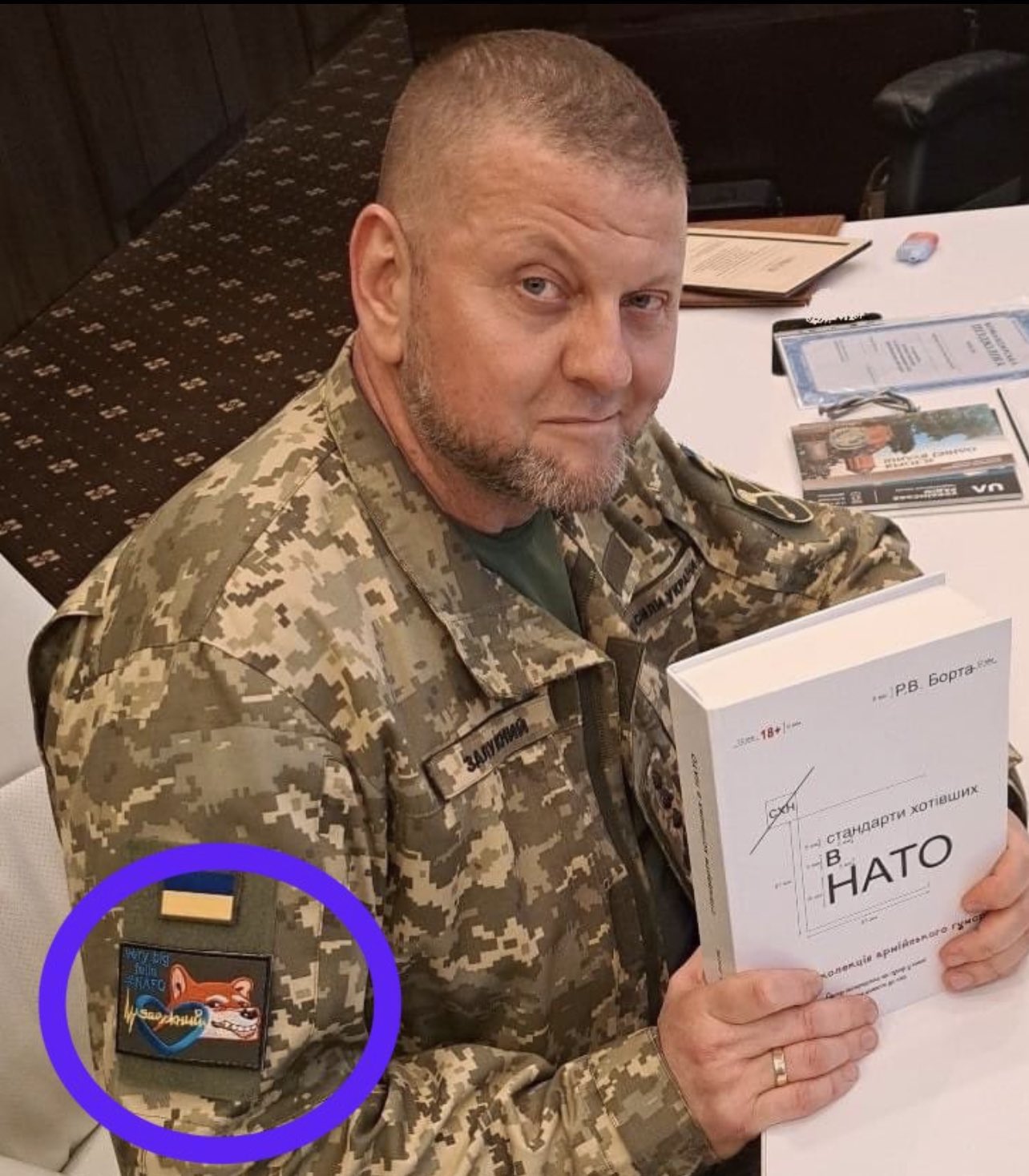 Decodïngtrolls On Twitter Kajakallas ⚡️nafo Will Accept Nato As A