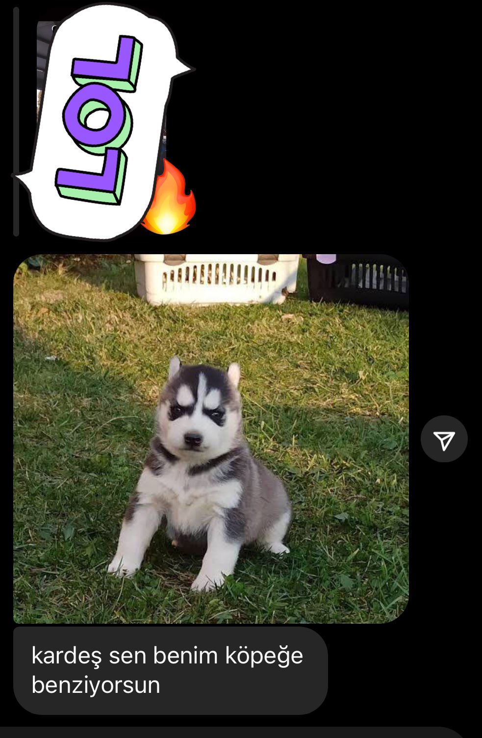 Hatem Ben Arda on Twitter: "https://t.co/xcPNp62Qeh" / Twitter