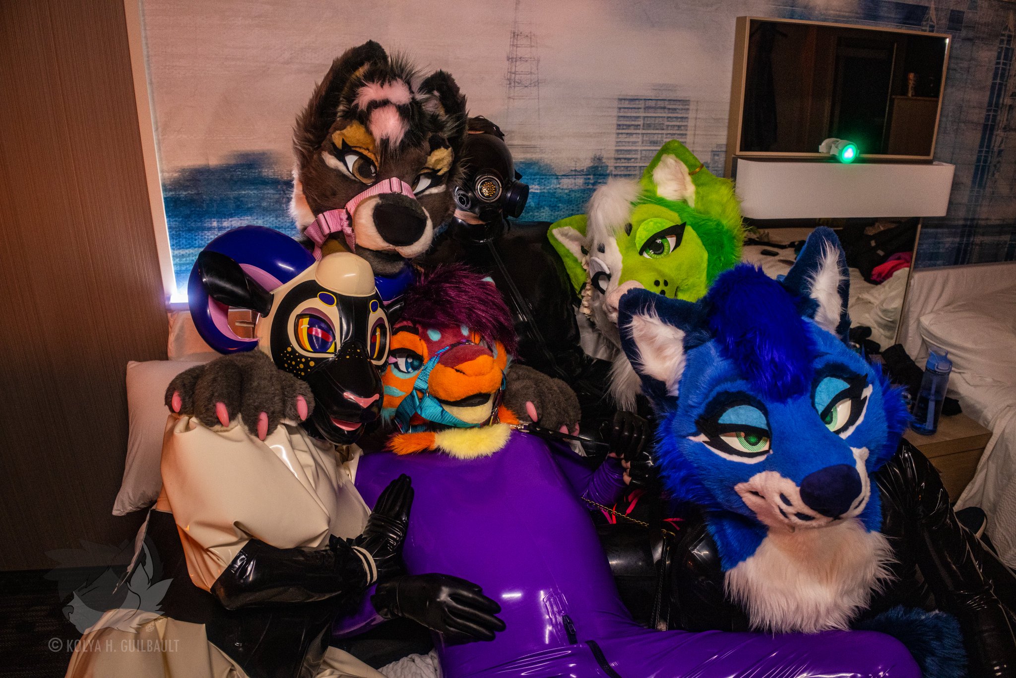 Starburst Shark🌺🦈 on Twitter: "Surrounded by shiny cuties! 🖤 #SqueakySaturday 📸: @KoKoCat15 🐺 ...