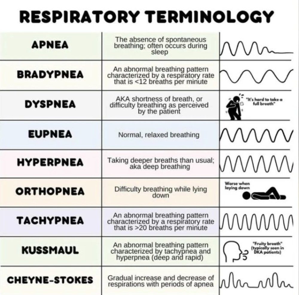Kussmaul Breathing Abnormal Breathing Patterns PPT History And