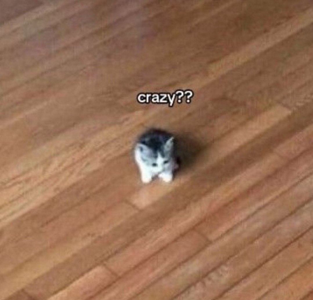 smol silly cat on Twitter: "https://t.co/hFtkCuMbwS" / Twitter