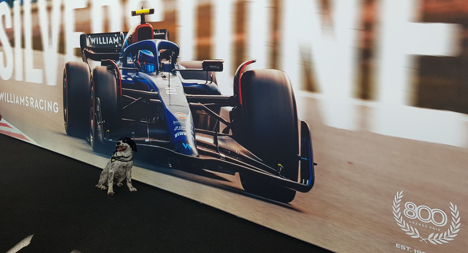 Northants Police on Twitter: "If #BradPitt needs a four-legged extra for his film shoot ...