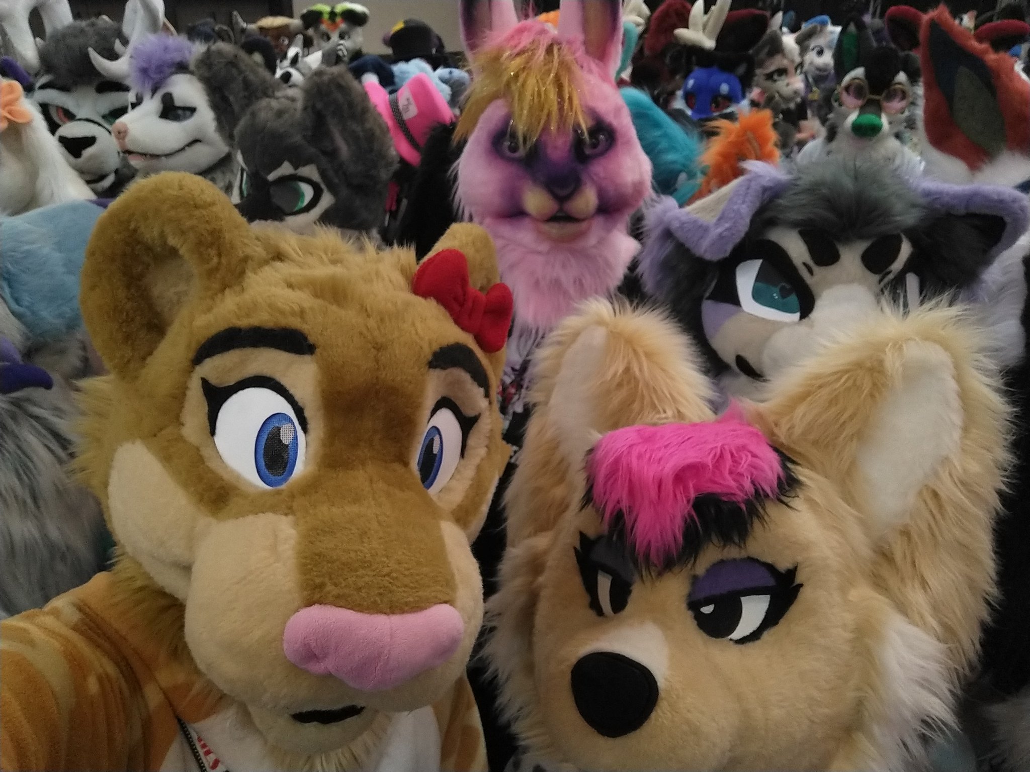 Sydney🌺Kimani on Twitter: "Lining up for fursuit parade @fureh https://t.co/Pb8PBPUXgz" / Twitter