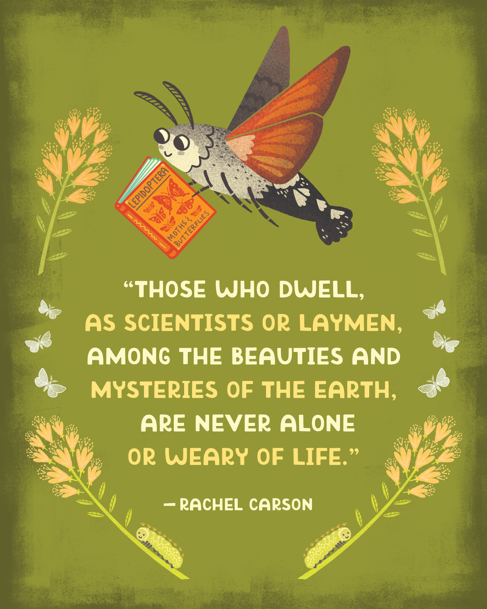 Butterfly Moth Quotes