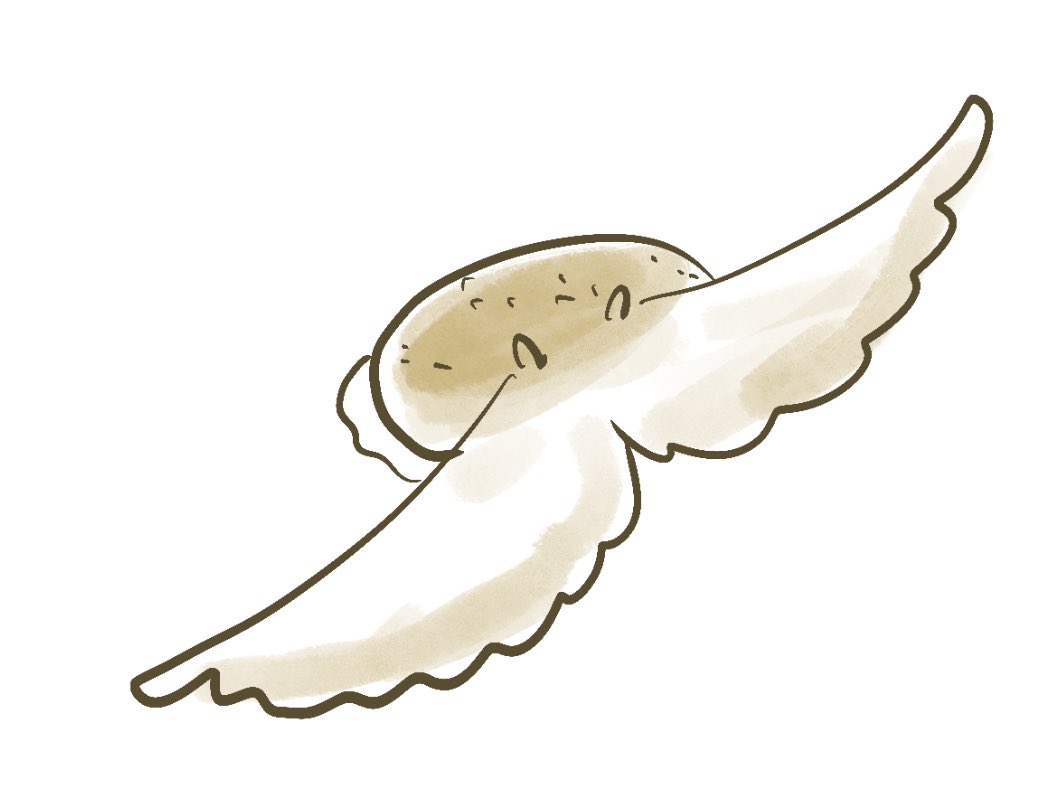 ovo-2-3-on-twitter-apparently-there-s-a-sea-slug-that-looks-like