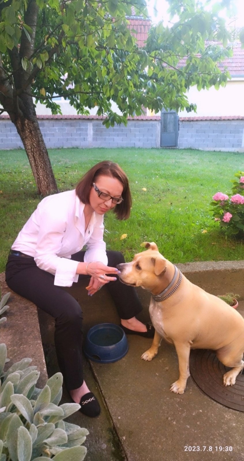 Minjica80🩲 on Twitter: "Nije istina da psi vole i osete samo dobre ljude.....Evo npr mene vole👇 ...