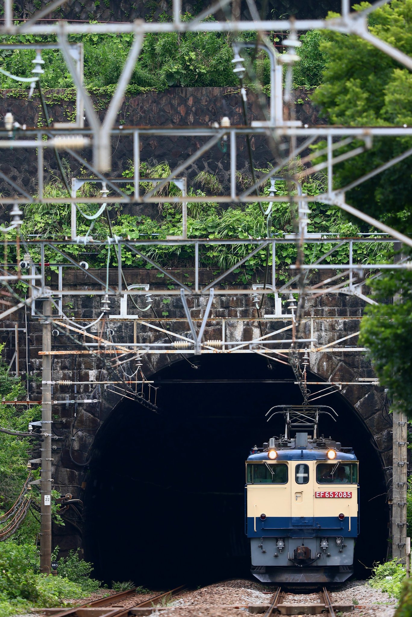 ちゃんぷる on Twitter: "2023/7/9 8863レ EF65 2085 https://t.co/W7VC1yGXGm" / Twitter