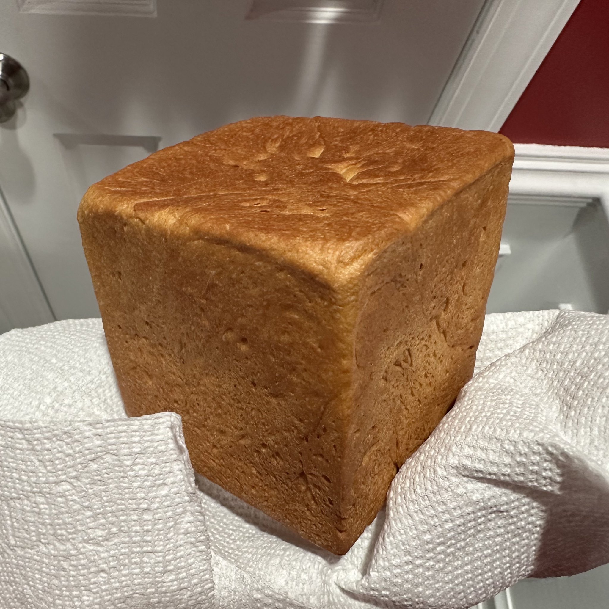 such nerve! on Twitter: "i have brought to bear the full might of my autism in this pursuit of ...