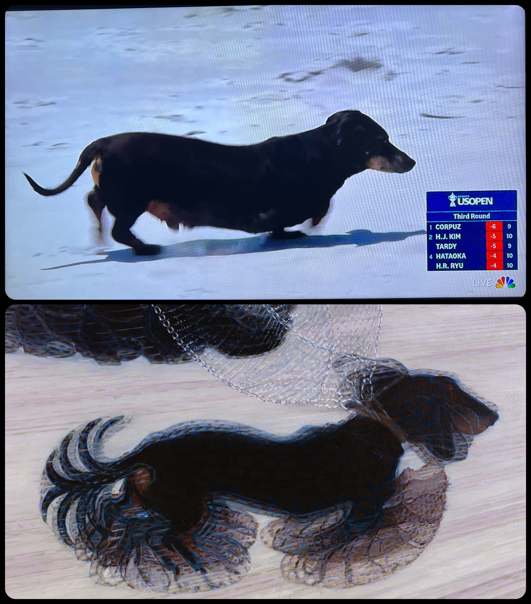 Giacomo Balla Dynamism Of A Dog On A Leash