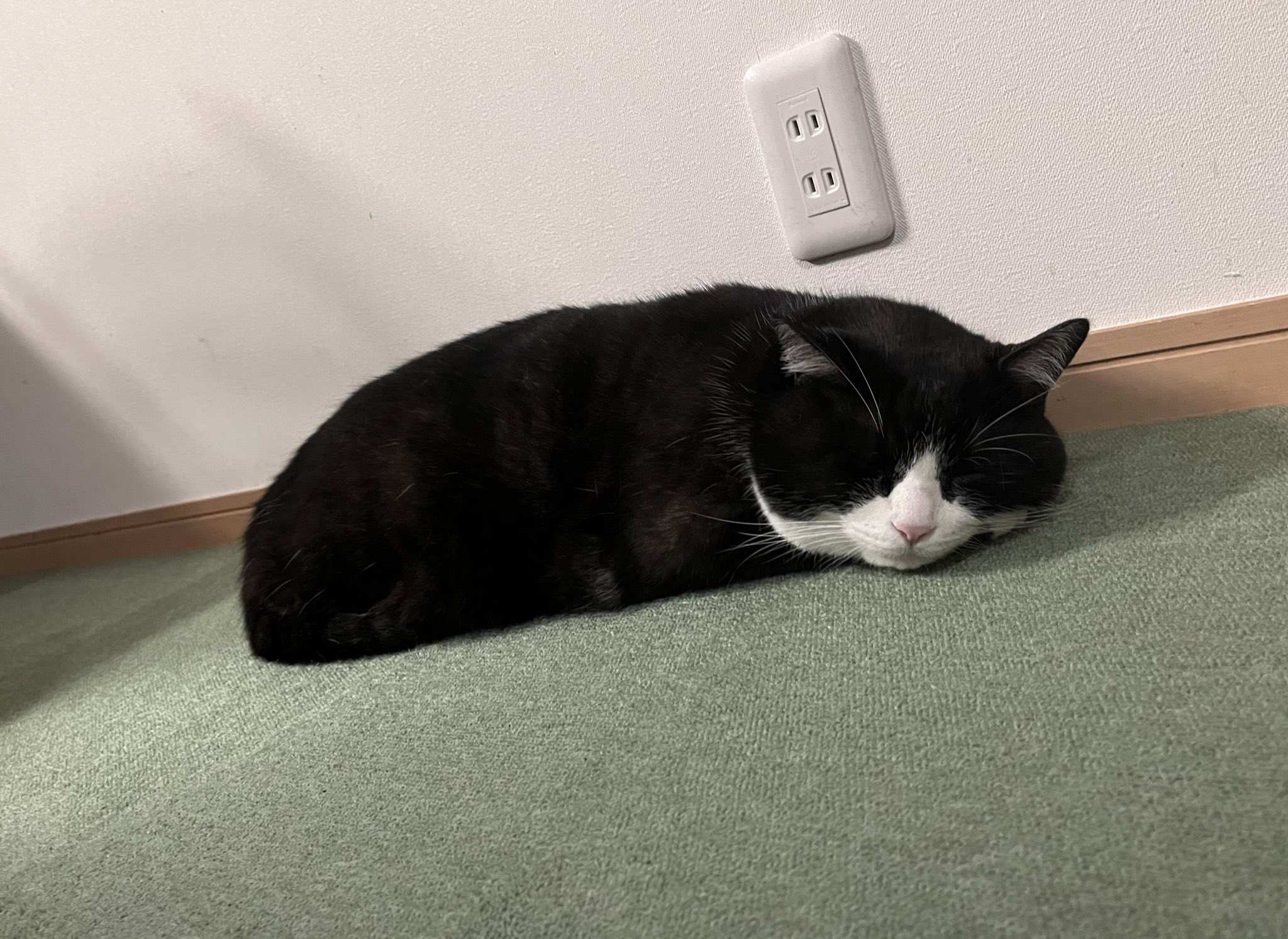 Teku On Twitter なんだこれは… 9njeh8gxwh Twitter