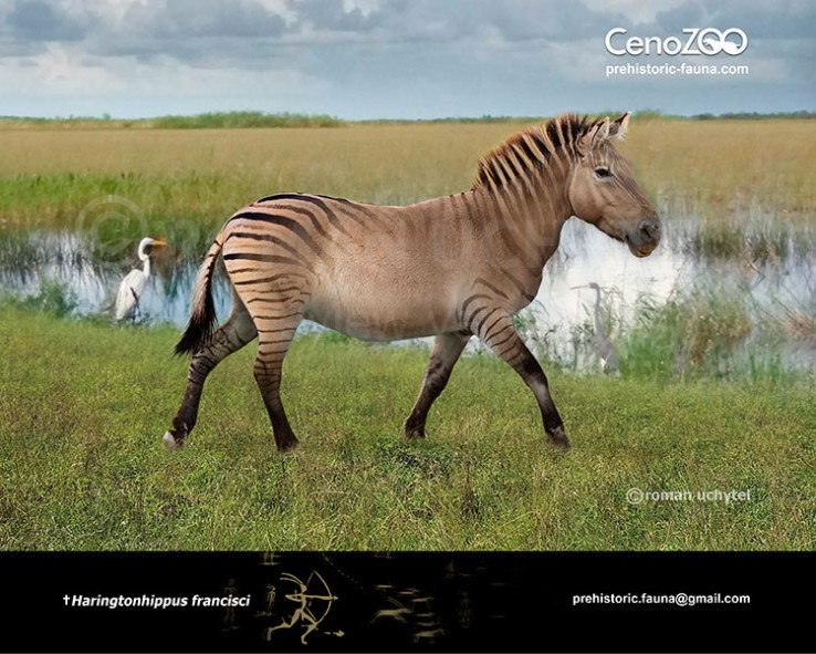 Prehistoric Zebra