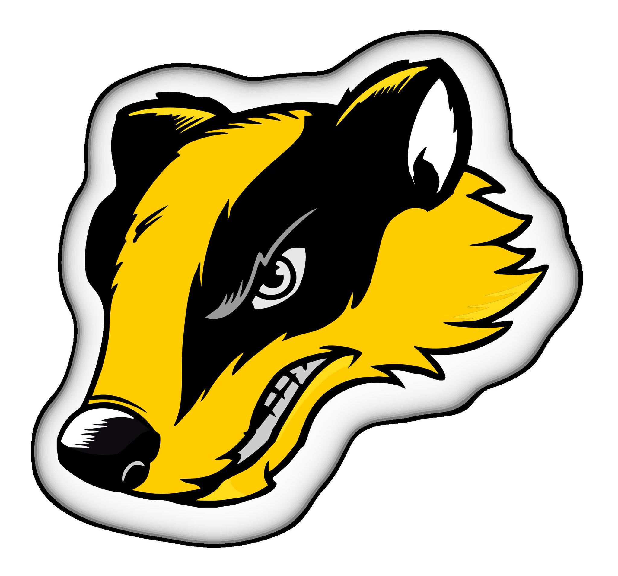 BM DAO on Twitter: "1/11 🚀 Introducing BM DAO: Empowering Crypto and NFT Projects 🌟 Ready to ...