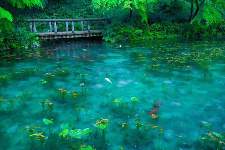 RETRIP＜公式＞ on Twitter: "2人で手をつないで夏デート。“涼”がテーマの週末おでかけスポット13選＋番外編💕 https://t.co/y2H8h3ZzCy https ...