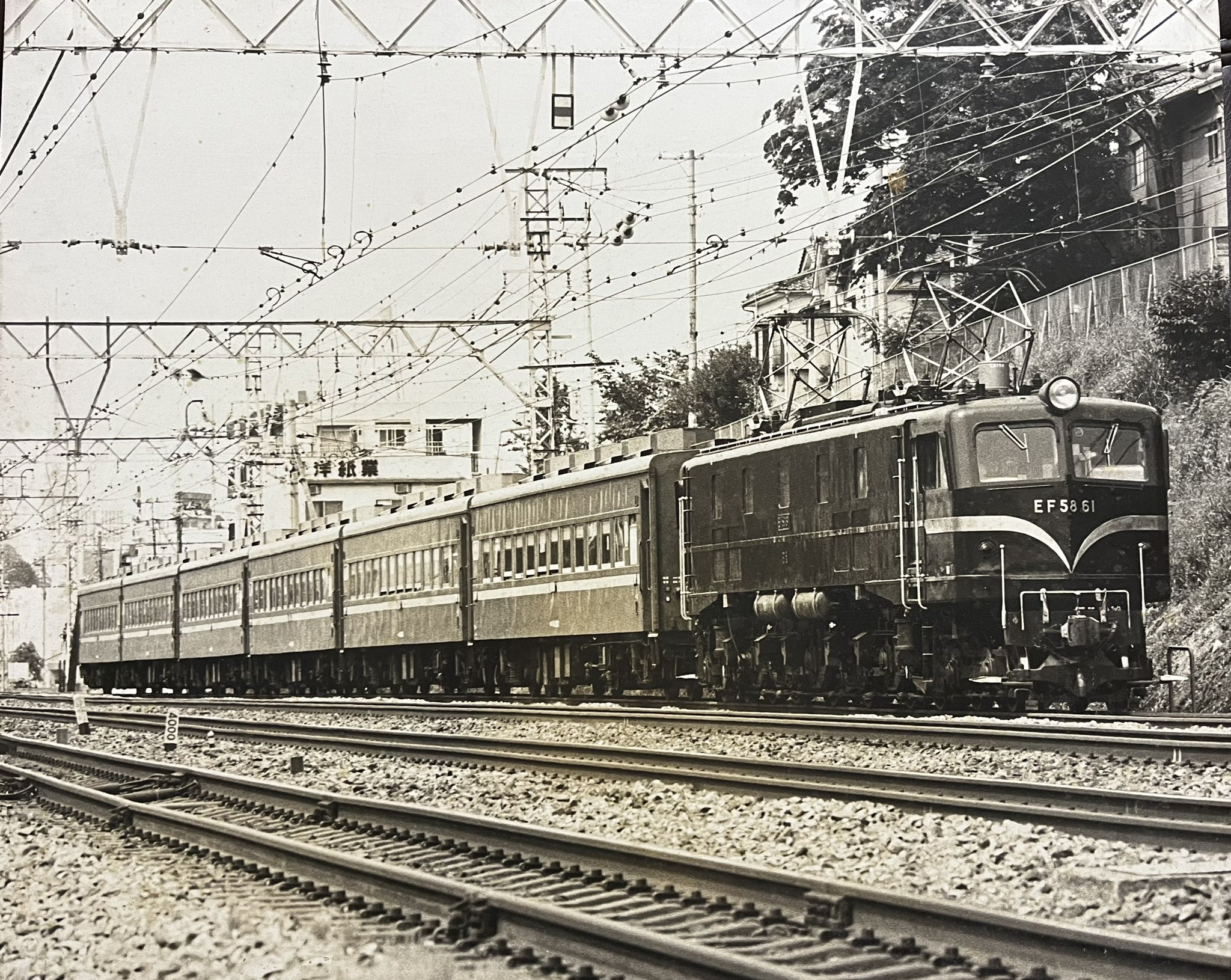 サロマニア on Twitter: "#懐かしのジョイフルトレイン #EF58 #お座敷列車 究極のｼﾞｮｲﾌﾙですね(^^) https://t.co/WSpNjnZnU4" / Twitter