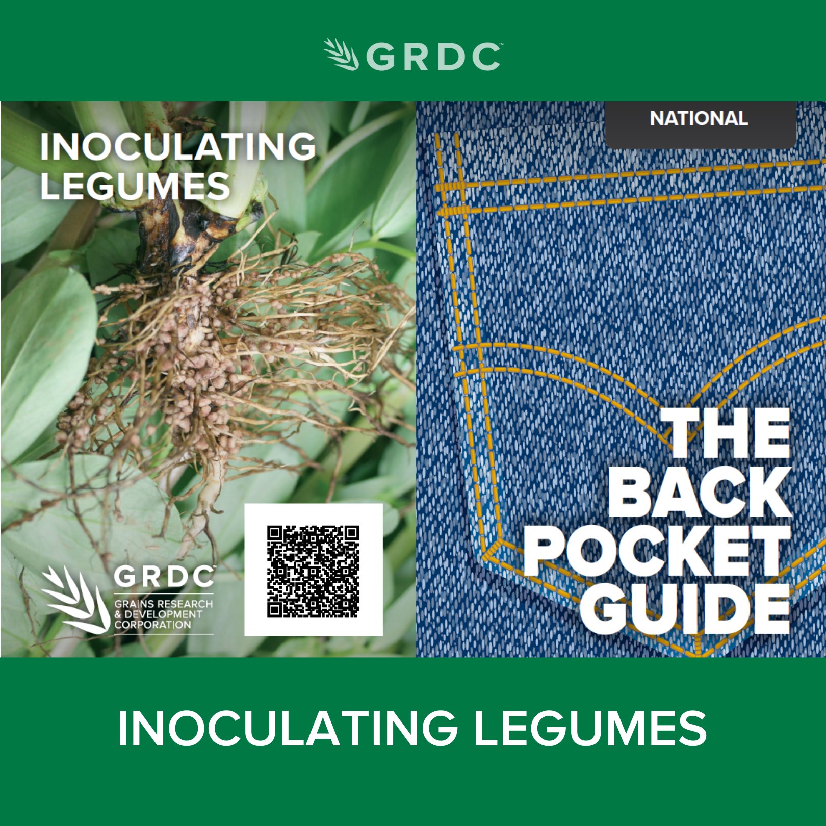 GRDC on Twitter: "Two new GRDC publications are now available to help growers inoculate their ...