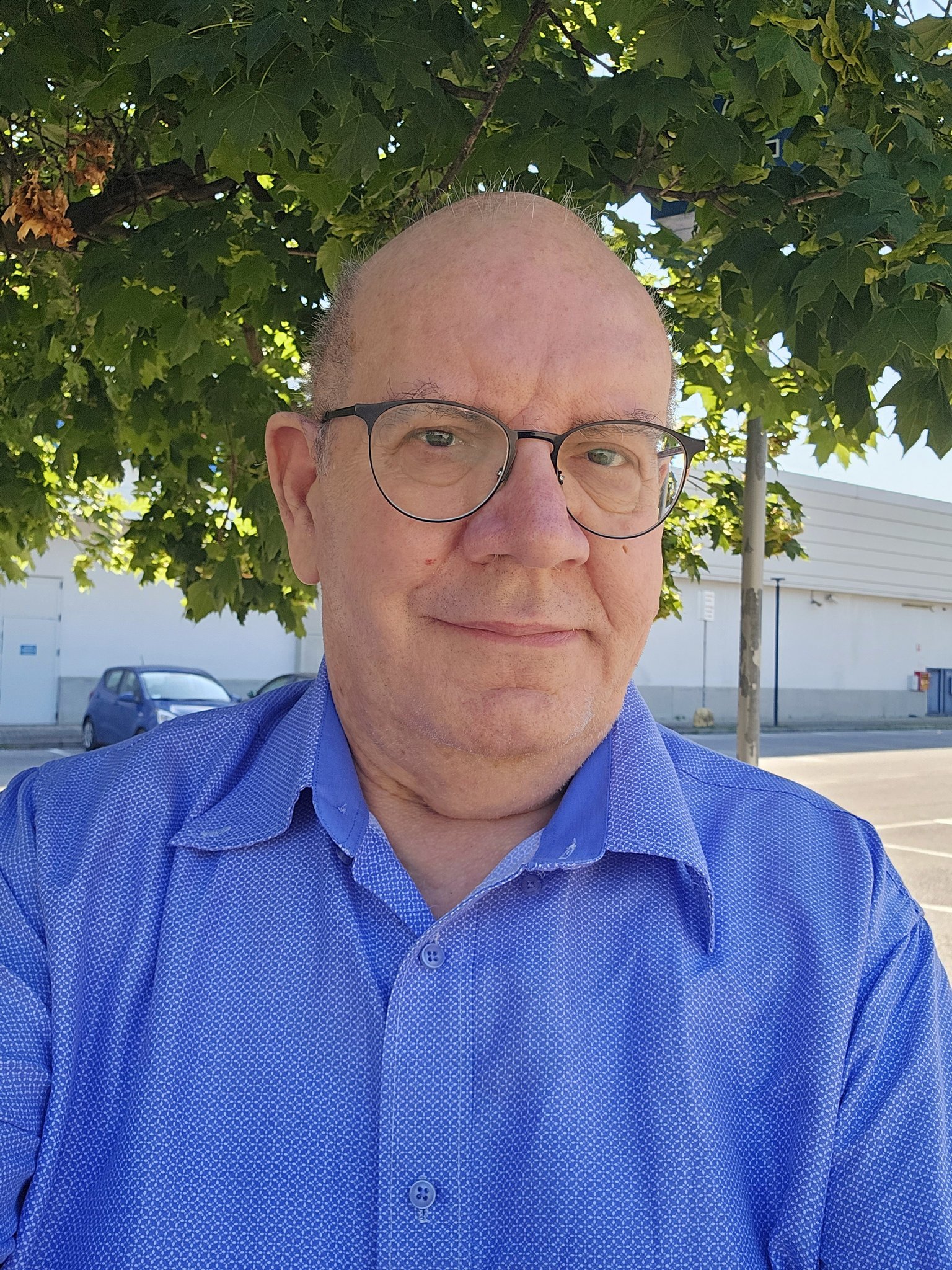 Paolo Driussi on Twitter: "Sunday https://t.co/Soeilw0Qog" / Twitter