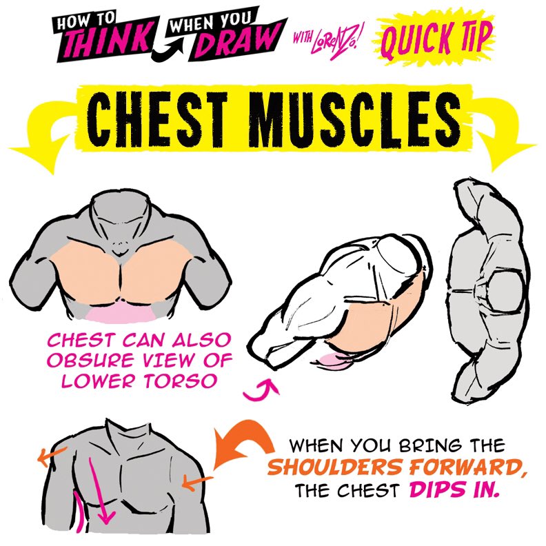 Etheringtonbrothers On Twitter Chest Muscles From The How To Think When You Draw Encyclopedia