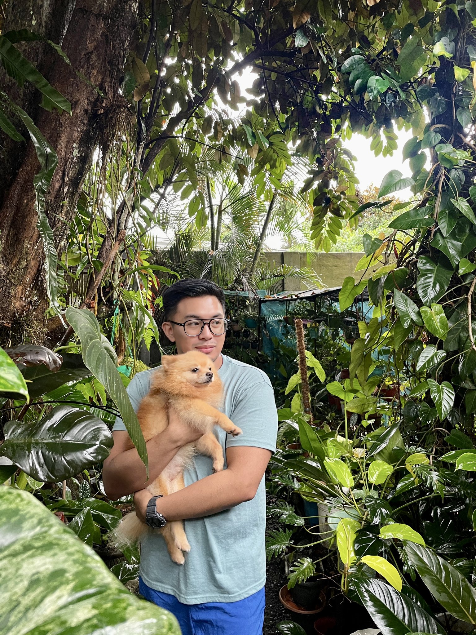 Aldrex Dacawe on Twitter: "Run free in doggo heaven, Ramen. 🌿🐾 https://t.co/0WupP9Fq8c" / Twitter