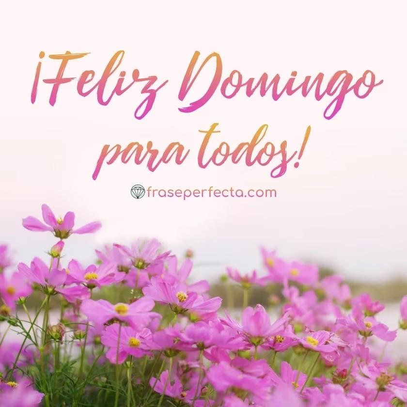Feliz Domingo Para Todos