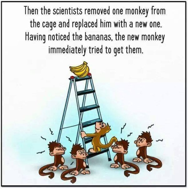 The Monkey Experiment: Find out how 'herd mentality' applies to you ...