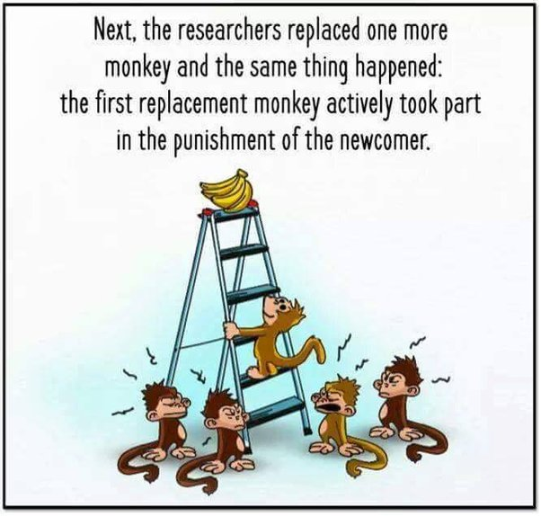The Monkey Experiment: Find out how 'herd mentality' applies to you ...