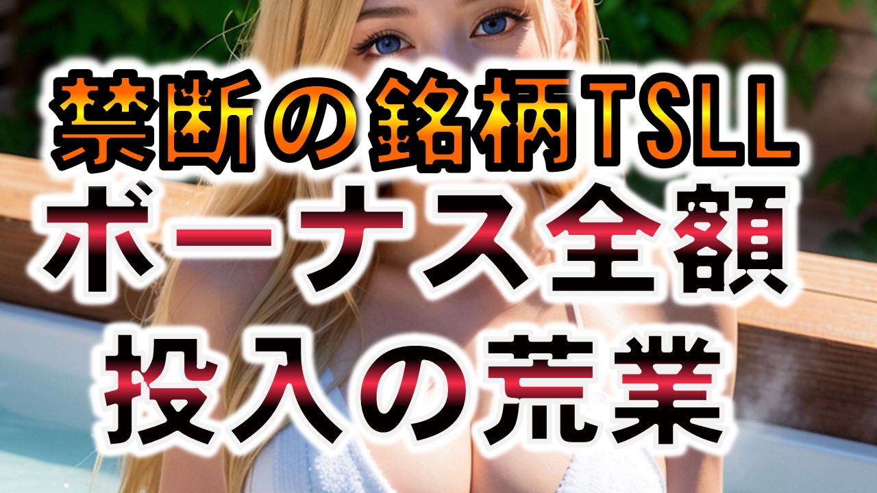 最短最速でFIRE on Twitter: "【レバナス】【テスラ】【S&P500】禁断の銘柄 TSLL ボーナス全額投入の 荒業 https://t.co/jLSGuSmkWK ...