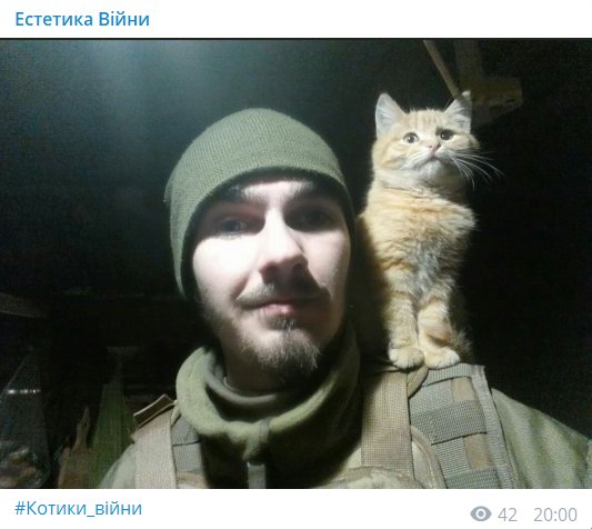 начинающий профессионал западной школы on Twitter: "@panibratchik ...