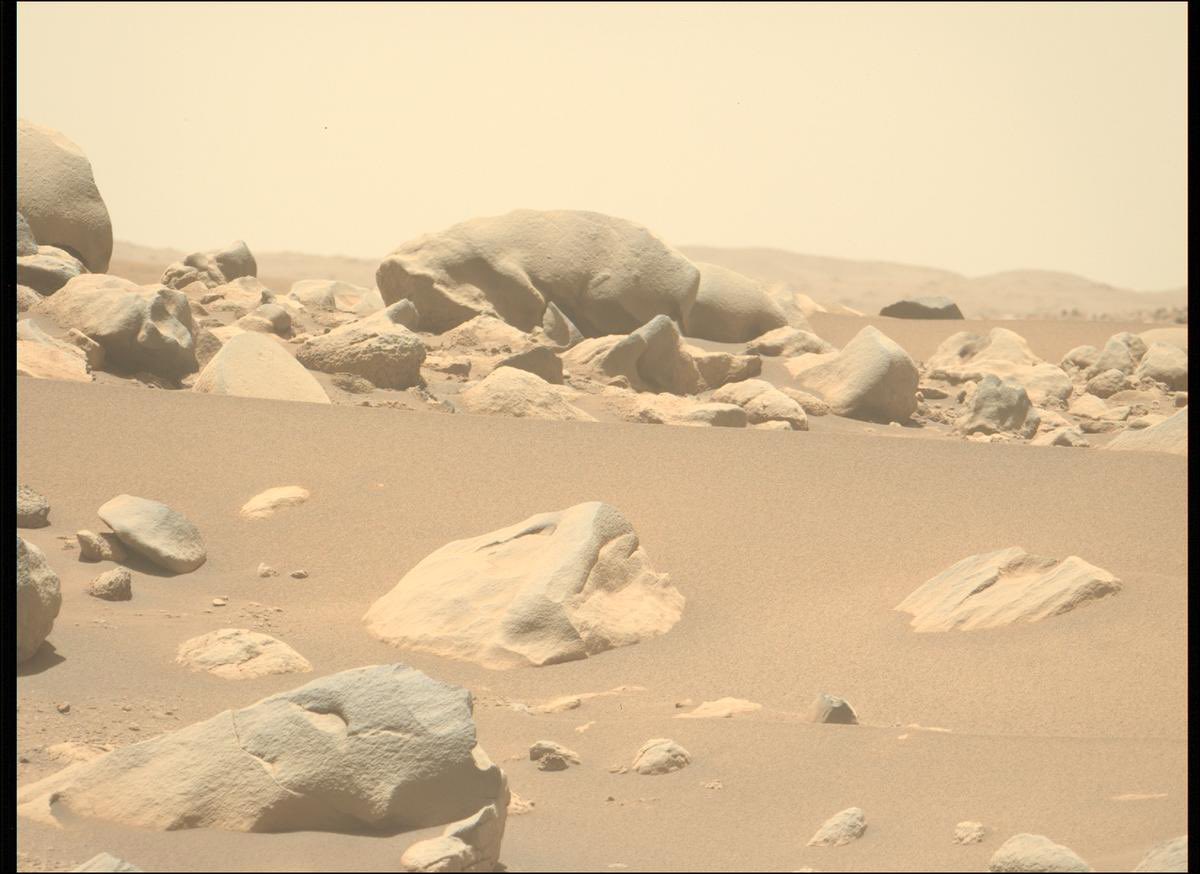 Mars Rover Rock Sight