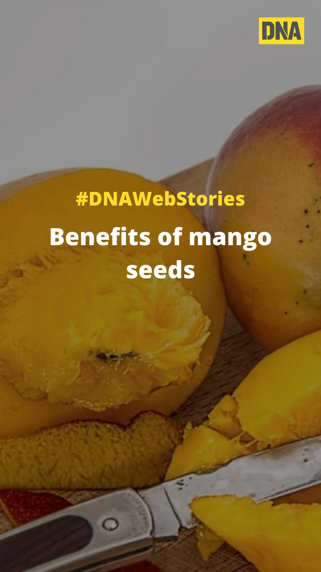 Mango Seed With Hair