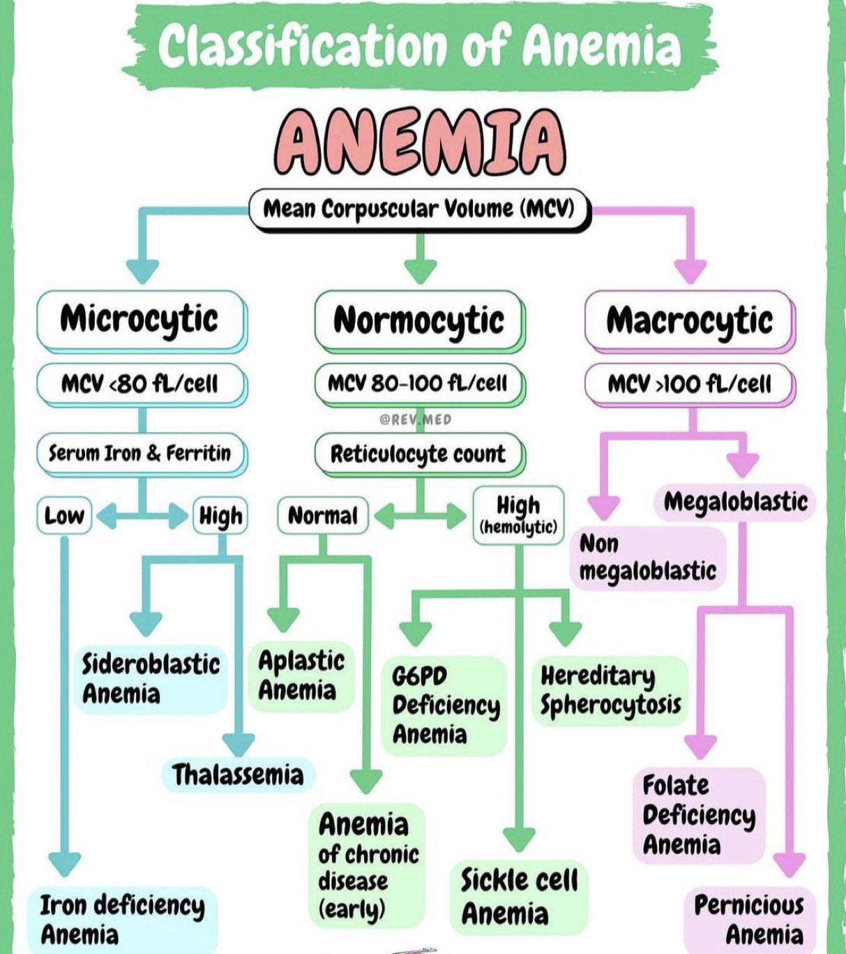 Anemia Flow Chart