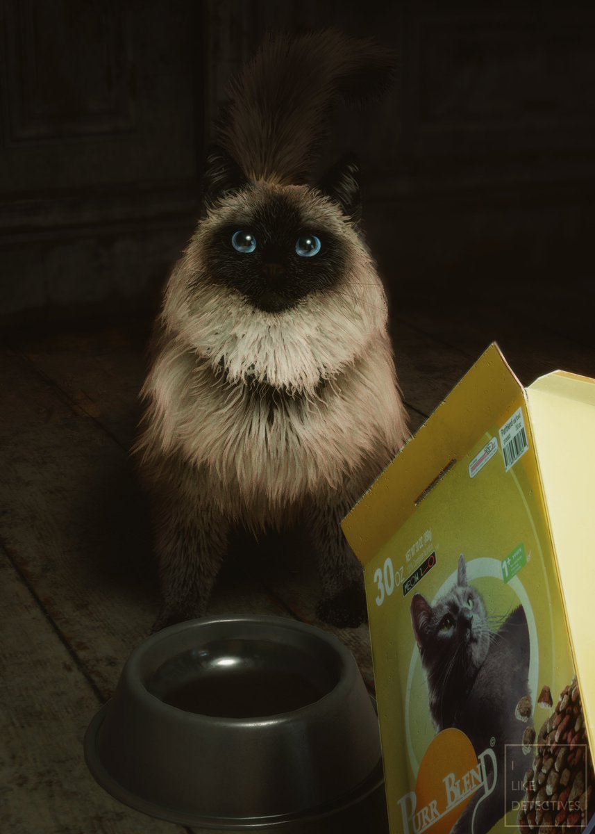 Meet The Fockers Cat