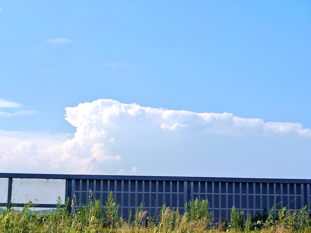 𓅟 𝓎𝓊𝓀𝓀𝓎 𓅟 on Twitter: "この後発達しそう⛅ #積乱雲 https://t.co/npGS3mc5N9" / Twitter