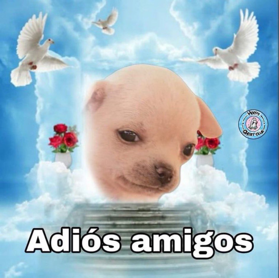 Adios Amigos Dog