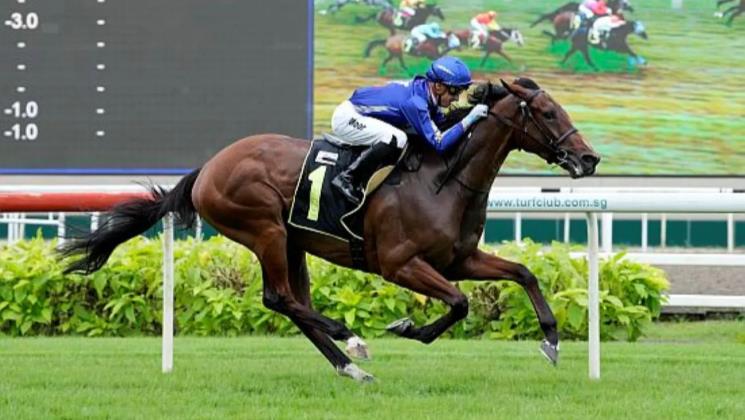 LOVERACING.NZ on Twitter: ""If he can do so over seven furlongs, relax like he did and bring ...