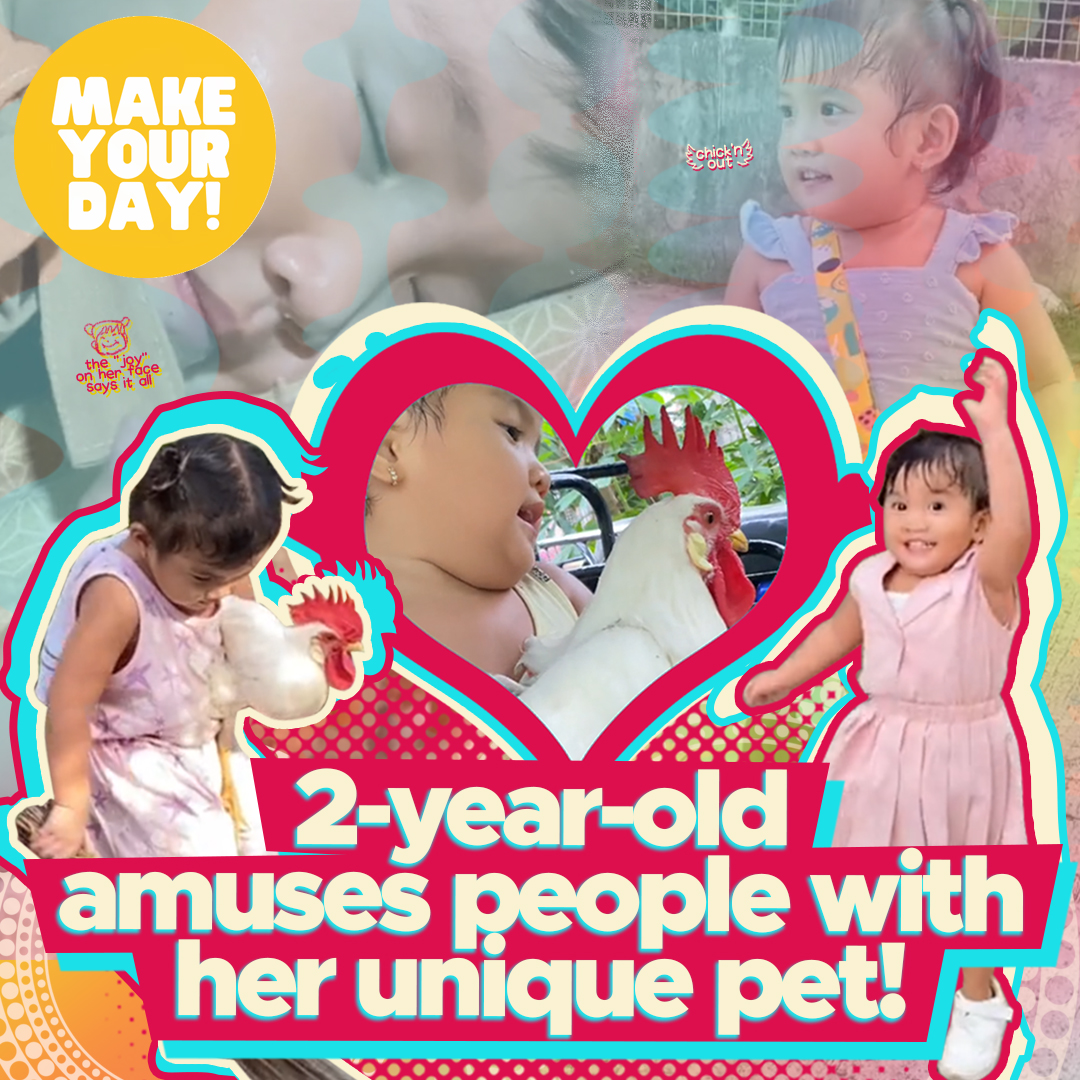 GMA Integrated News on Twitter: "May mga batang may aso, ang iba naman ay may pusa. Pero kakaiba ...