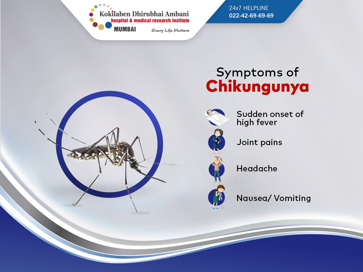 Chikungunya Symptoms And Diagnosis