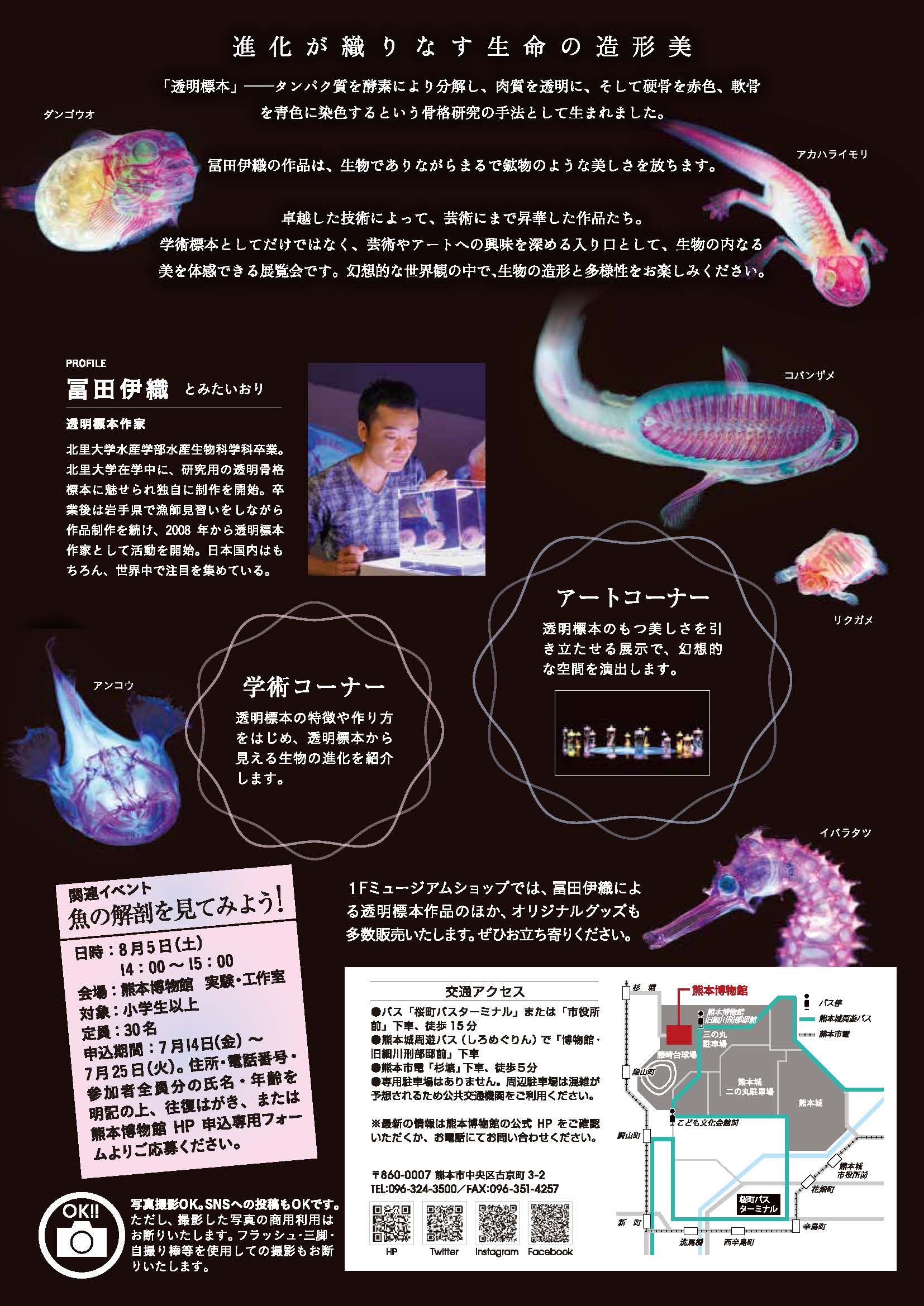 RKK_event on Twitter: "冨田伊織 新世界 「透明標本」展 いよいよ今週土曜日から開催！ #熊本博物館 #透明標本 #進化が織りなす生命の造形美 #夏休みの宿題はこれで ...