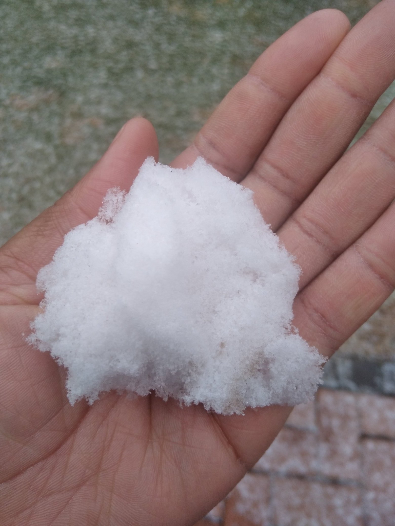 11teen Ghosts 👻🇿🇦 on Twitter: "Thank you @MYANC for buying South Africa snow 🌨 🖤 💚 💛 #ANCNEC # ...