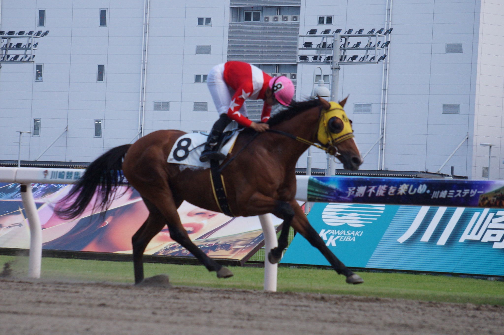 サンスポZBAT！地方競馬 on Twitter: "10日大井6Rでジョーヌヴェールを勝利に導いた #野畑凌 騎手が通算100勝を達成 ️ デビューから約1年3ヵ月で区切りの勝利です🎊 ...