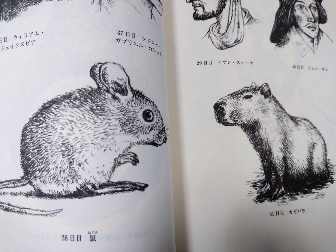 「Yukimi Ogawaさんの〝Like Smoke, Like Light: Stories〟を買いました。」酉島伝法（∴）とりしまの漫画